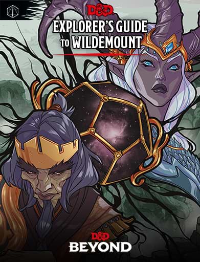 D&D Explorers Guide to Wildemount – Grey Duck Games & Toys